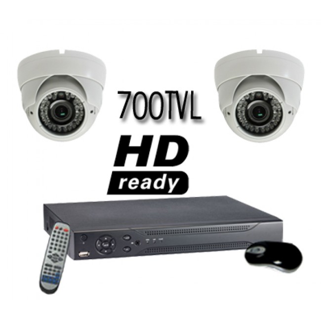 700 TVL High Resolution Vandal Proof 2 Camera System