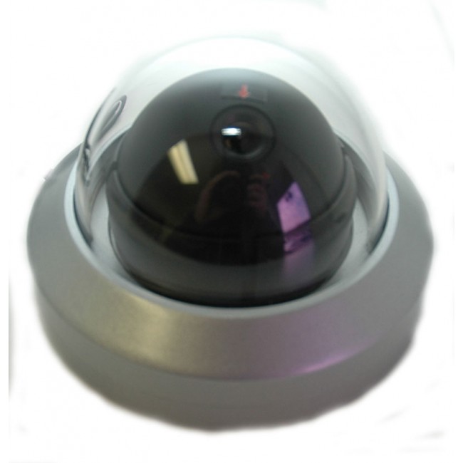 Silver Indoor Dome Camera