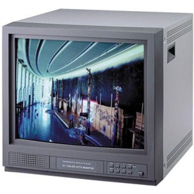 21 inch Color Monitor with Audio